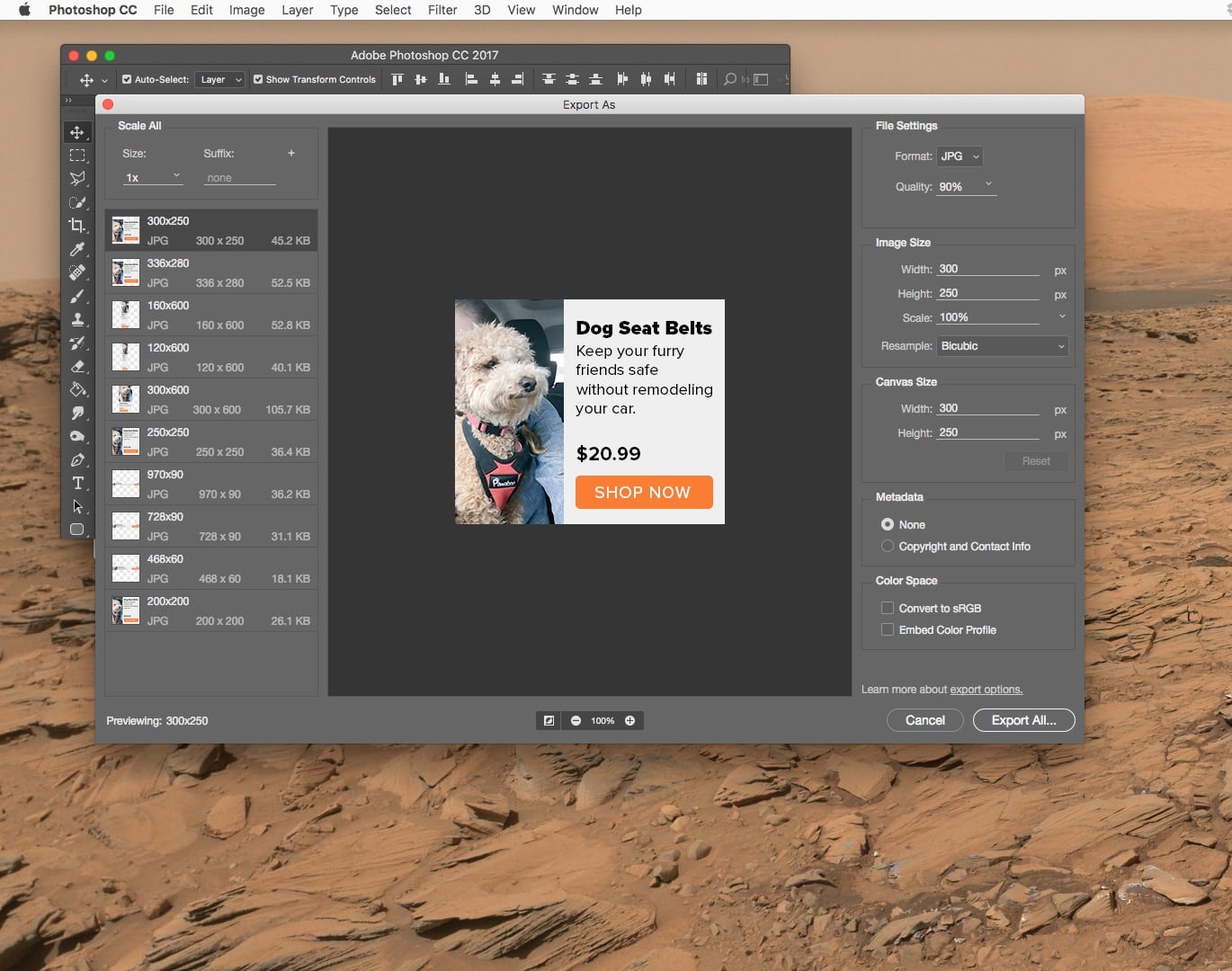 How to Use Disruptive's AdWords Display Ads Template | Disruptive ...