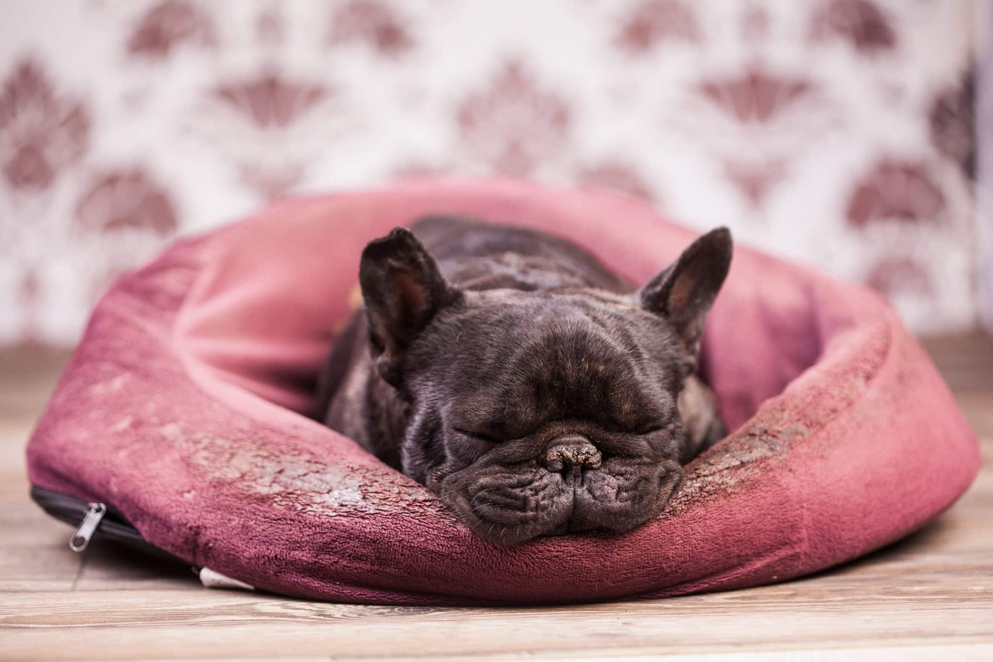 Understanding Internet Advertising: The Basics | Disruptive Advertising